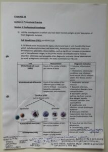 The IBMS Registration Portfolio: from a placement student’s perspective ...